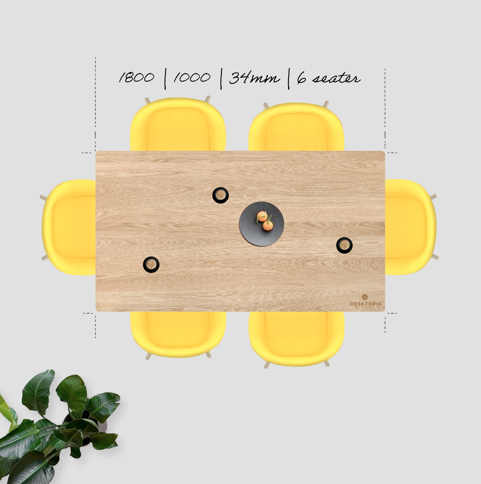 1.8 x 1M | TABLETOPIA | 6 SEATER | SOLID OAK | 34Mm ( no legs) – Desk